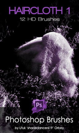 Haircloth Brushes (ABR) (3.75 MB) - WooBrush