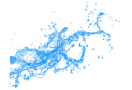 Free Drop Water Brushes (46 Brushes) - WooBrush