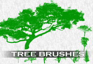 Free Tree Brushes (40 Brushes) - WooBrush
