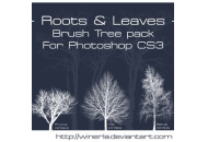 Free Palm Tree Brushes Top (44 Brushes) - WooBrush