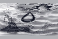 Free Drop Water Brushes (46 Brushes) - WooBrush
